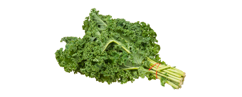 Kale (bunch) - Ivan's Market Garden