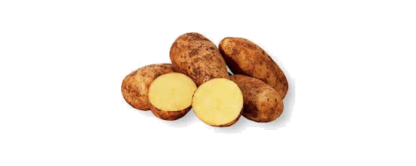 Potatoes - Cream - Ivan's Market Garden