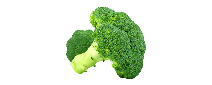 Broccoli - Ivan's Market Garden